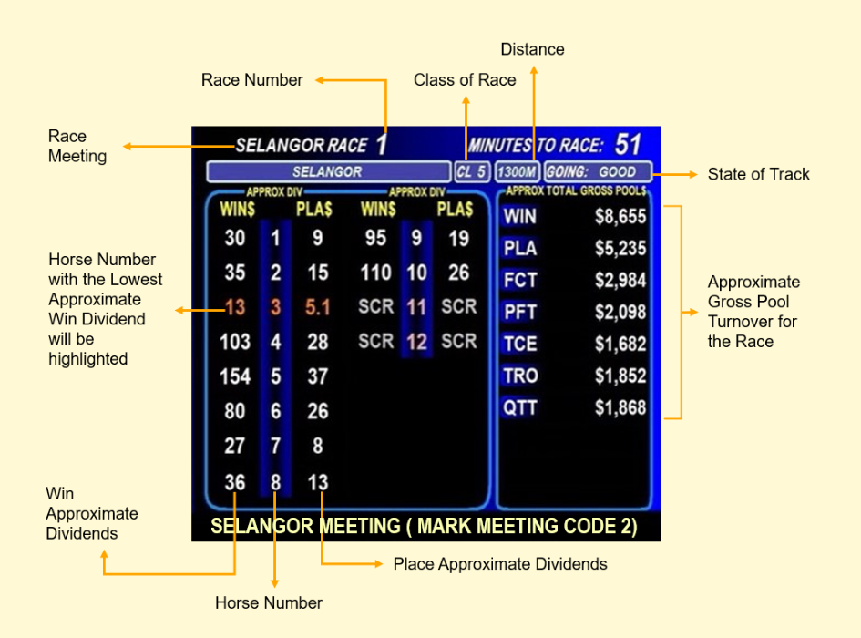 Betting Information Displays (Electronic Display System)