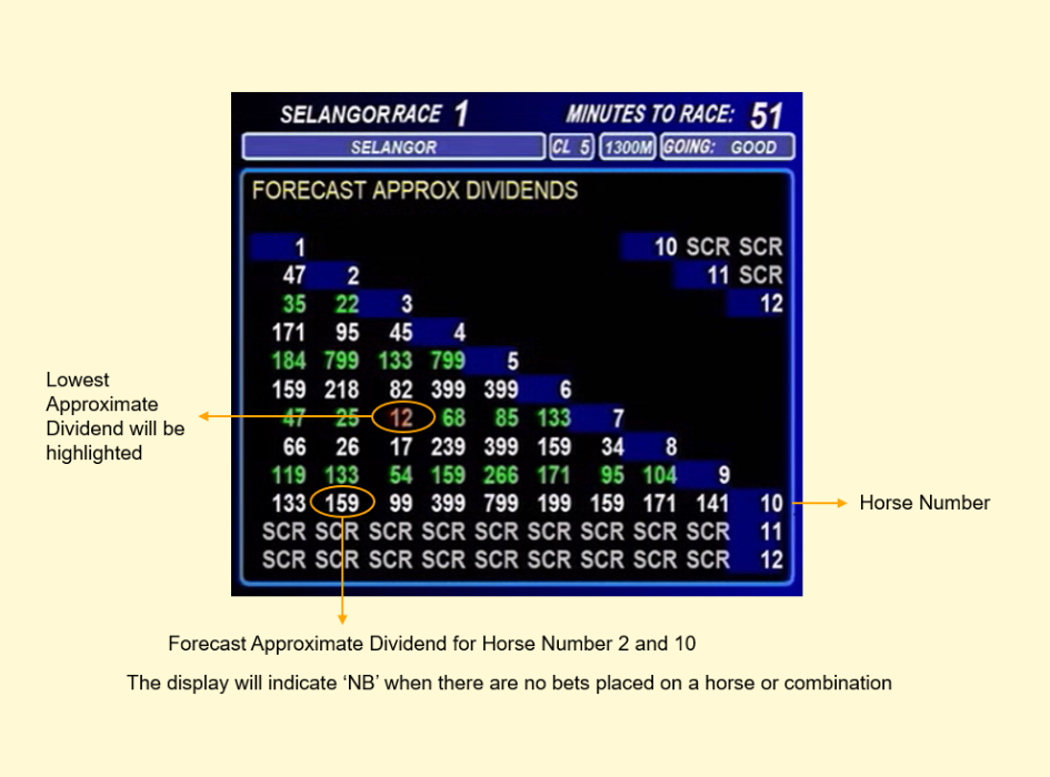 Betting Information Displays (Electronic Display System)