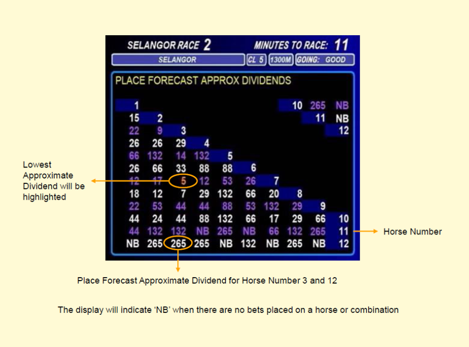 Betting Information Displays (Electronic Display System)