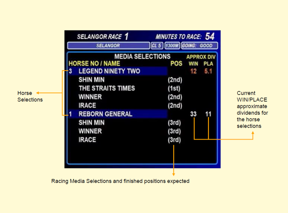 Betting Information Displays (Electronic Display System)