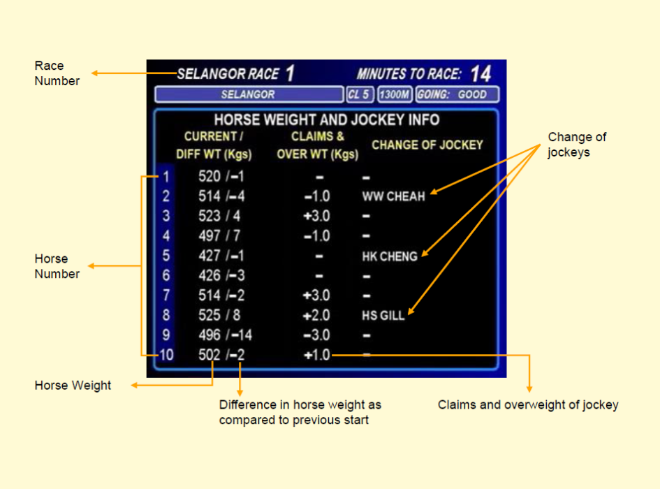 Betting Information Displays (Electronic Display System)