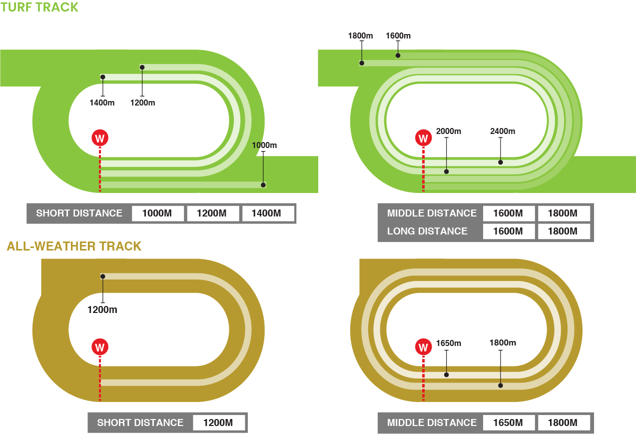 Hong Kong Racing | Singapore Pools