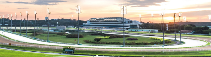 Horse Racing Basics - Singapore Pools